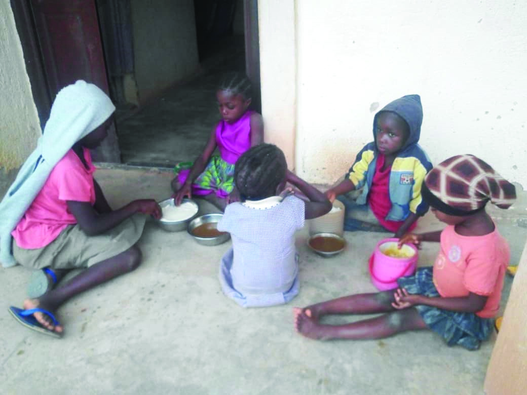 A Farm for the Orphans in Nigeria - Religious Freedom Coalition